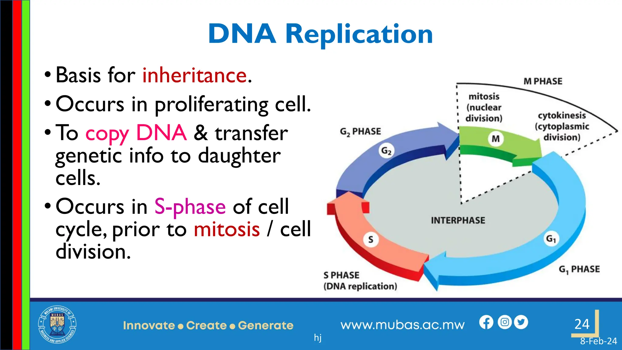 2. DNA Structure and Replication ppt.pdf