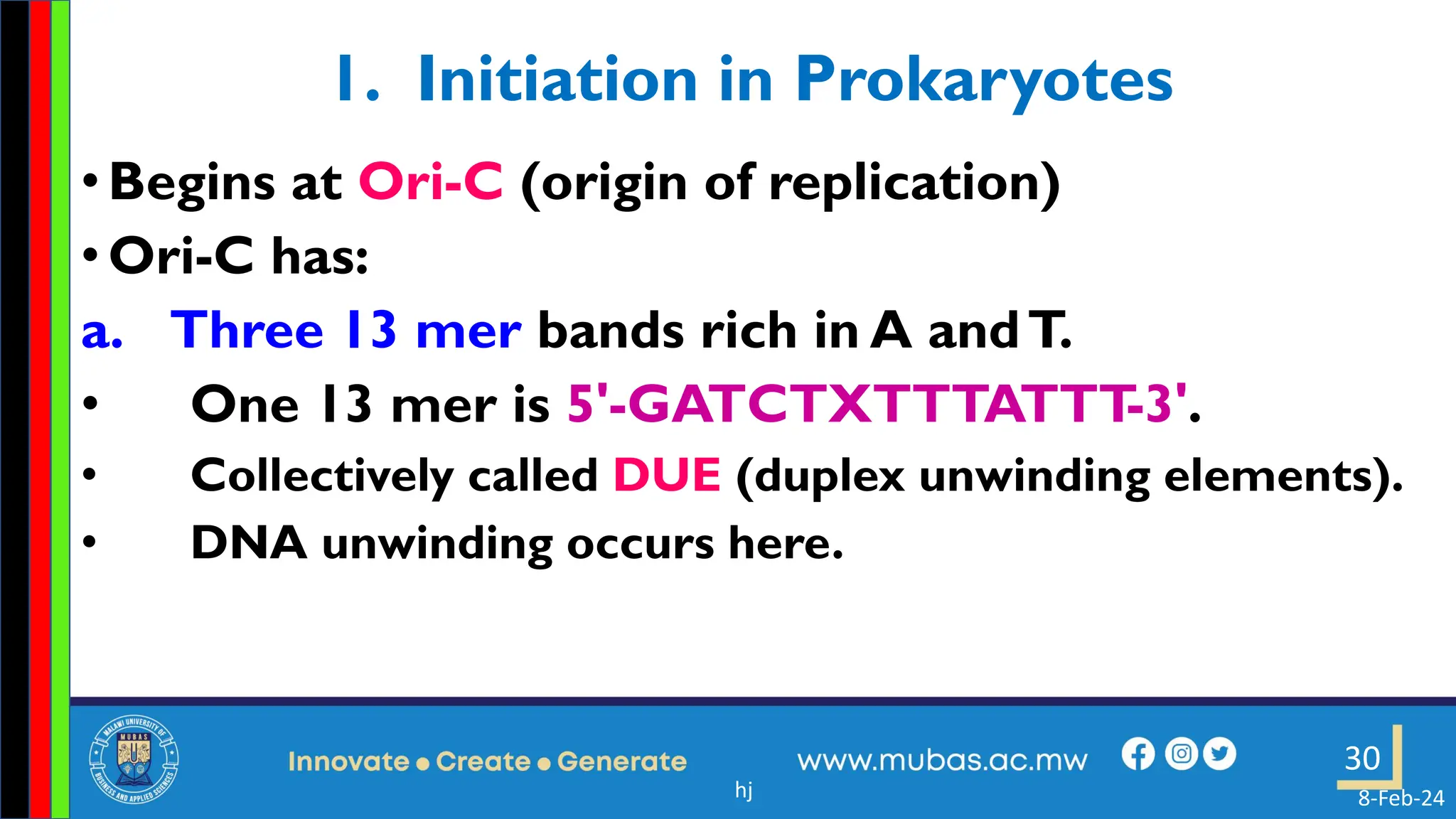 2. DNA Structure and Replication ppt.pdf