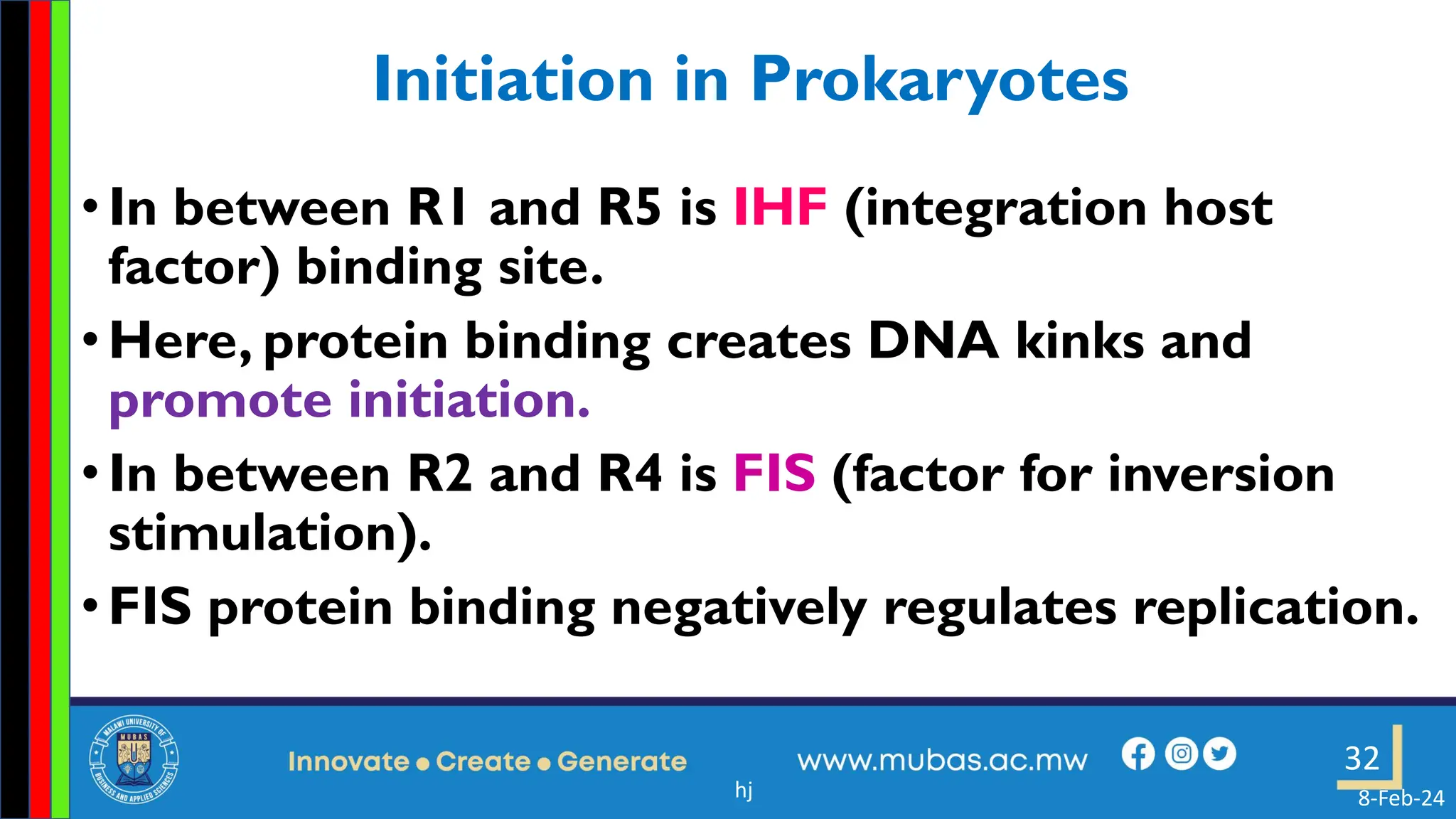 2. DNA Structure and Replication ppt.pdf