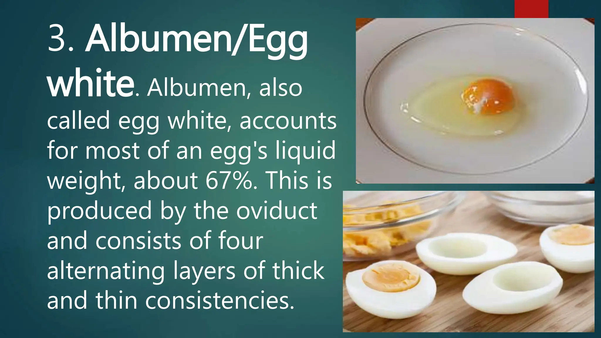 Prepare and cook starch and cereal dishes .pptx