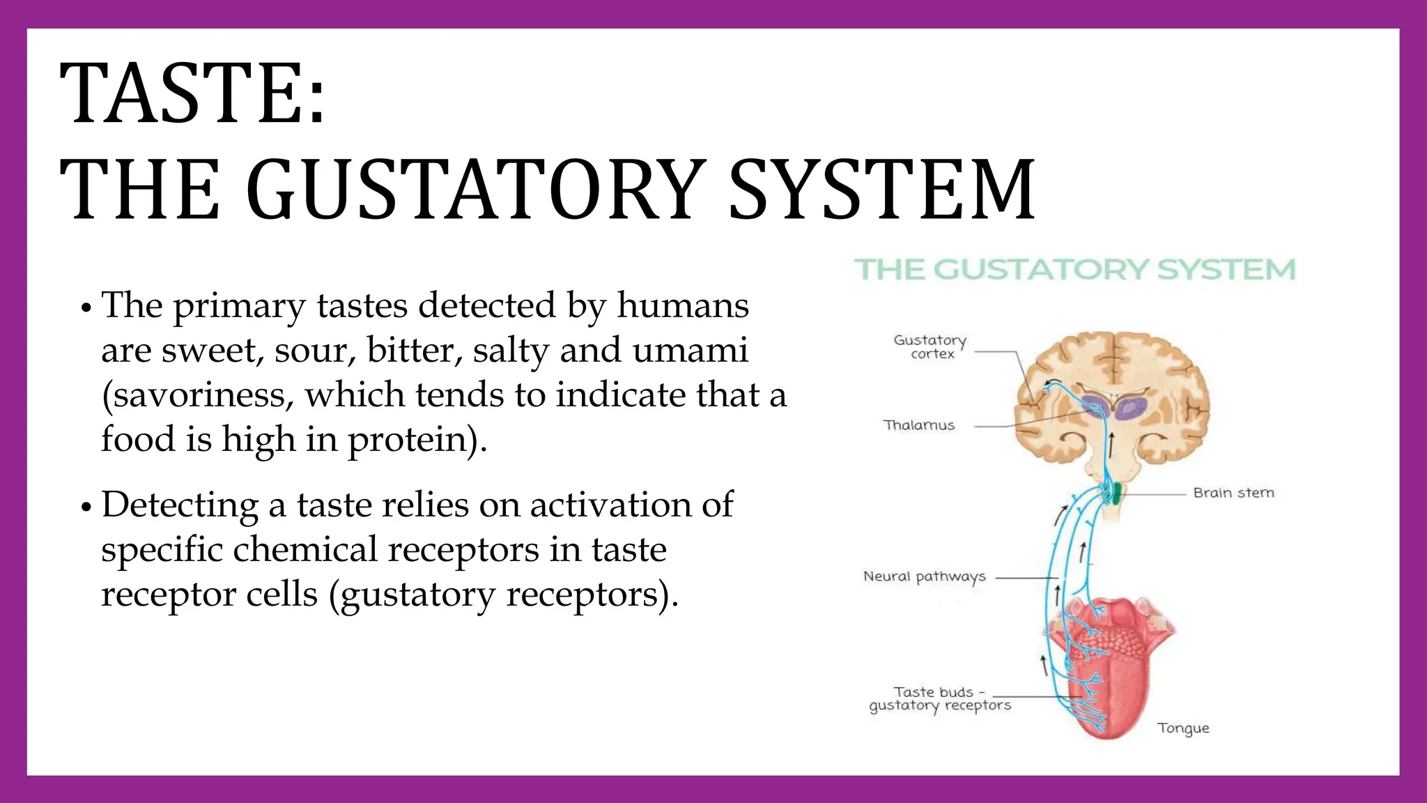 2.2-Sensory-organs.pptx Including the types | PPTX