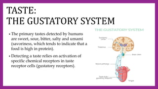 2.2-Sensory-organs.pptx Including the types | PPTX