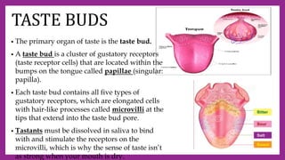 2.2-Sensory-organs.pptx Including the types | PPTX