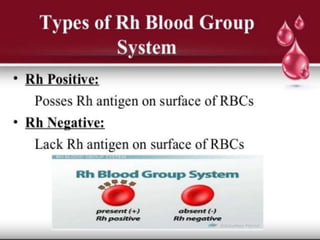 2. Blood Groups, Rh incompatibility,blood transfusion reactions | PPTX