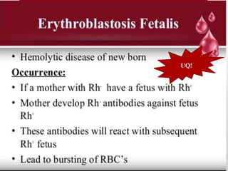2. Blood Groups, Rh incompatibility,blood transfusion reactions | PPTX