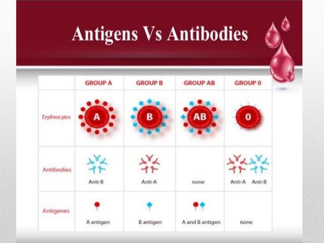 2. Blood Groups, Rh incompatibility,blood transfusion reactions | PPTX