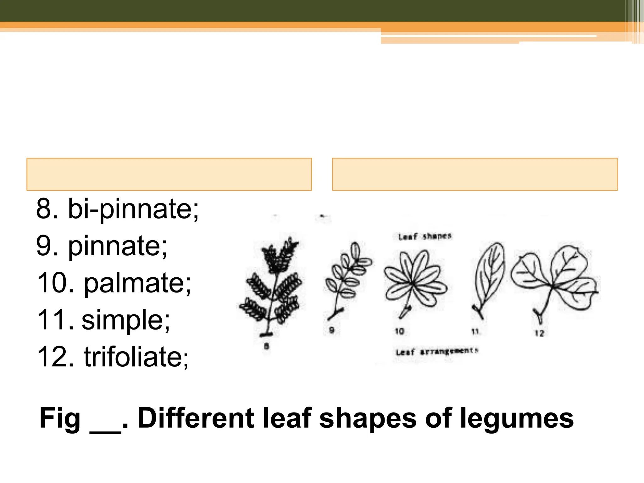 2. Classification and importance of leguminous crops | PPT