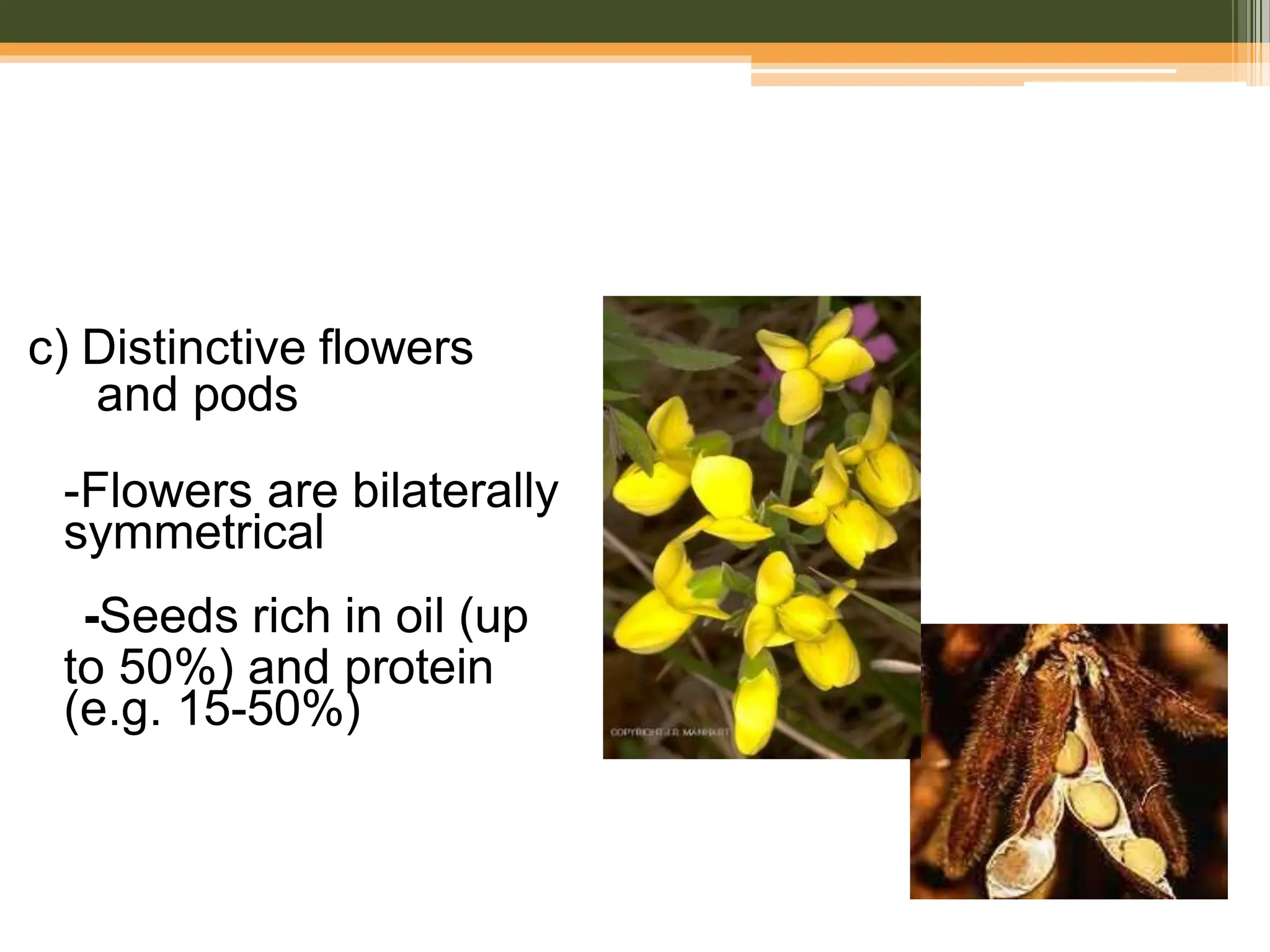 2. Classification and importance of leguminous crops | PPT