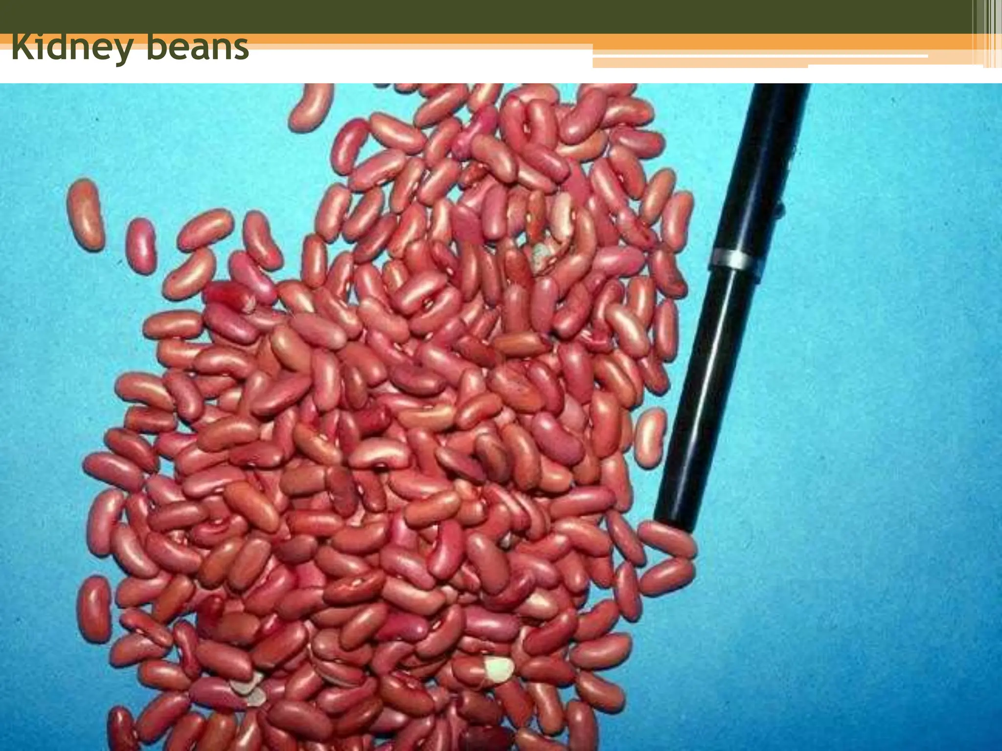 2. Classification and importance of leguminous crops | PPT