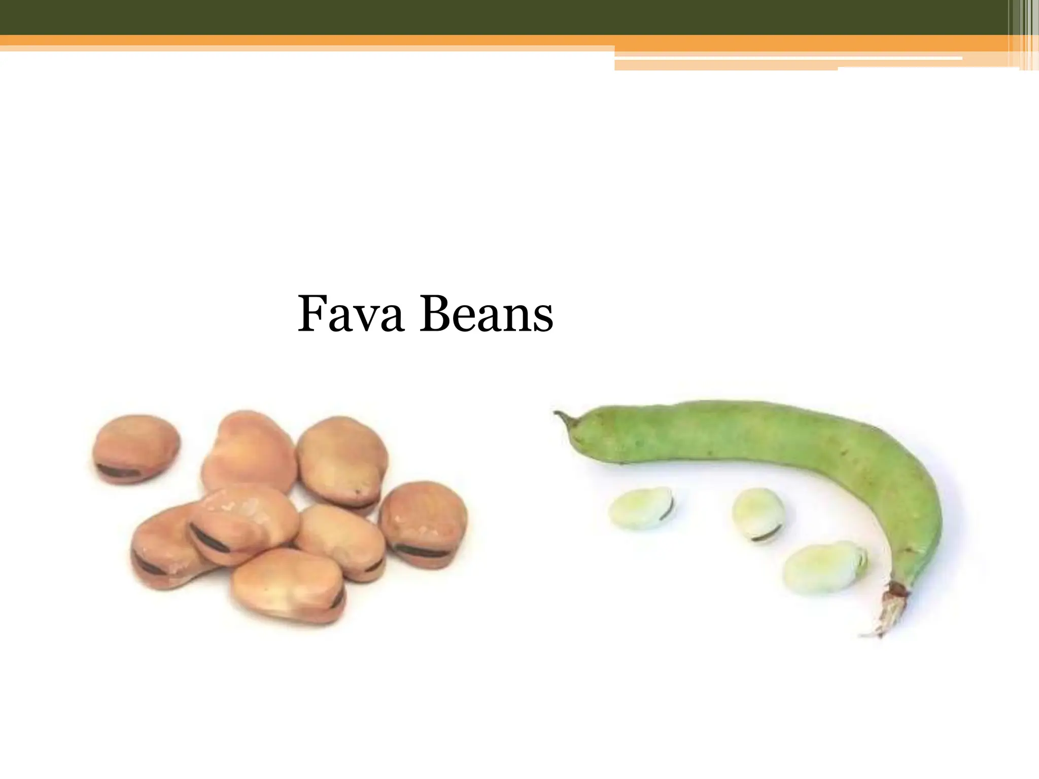 2. Classification and importance of leguminous crops | PPT