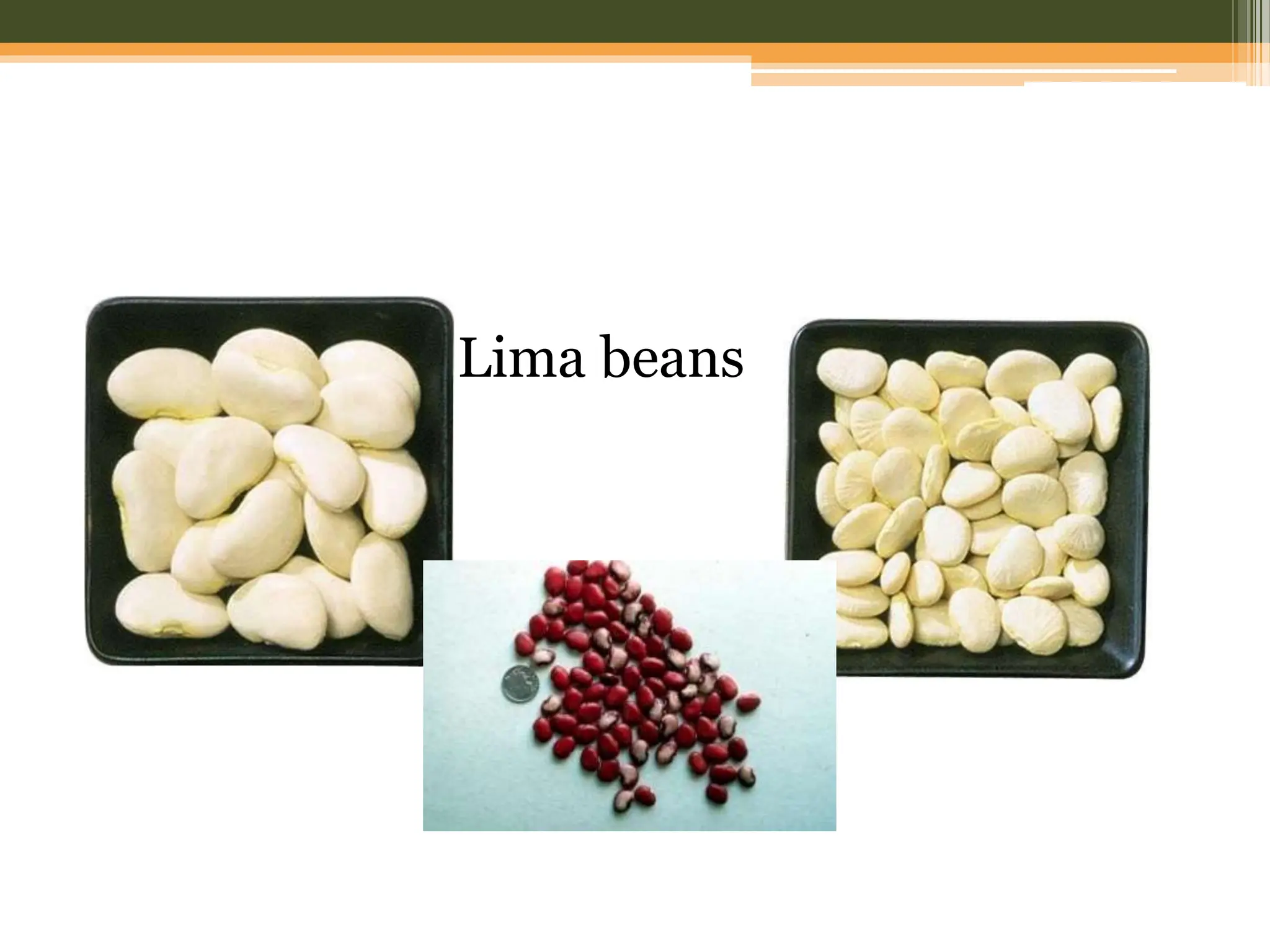 2. Classification and importance of leguminous crops | PPT