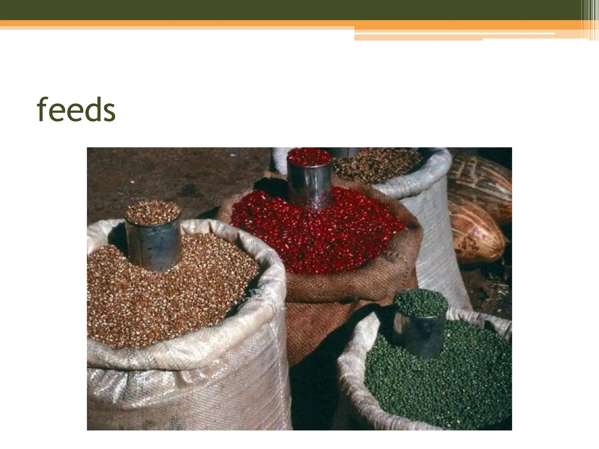 2. Classification and importance of leguminous crops | PPT