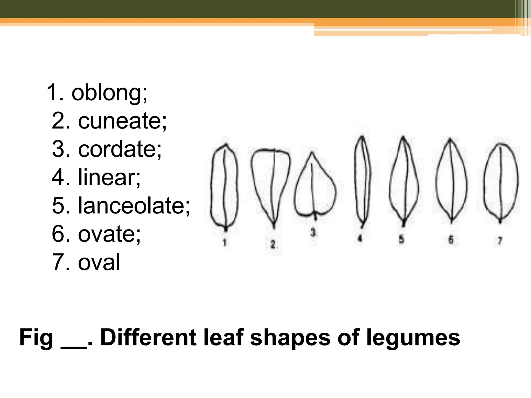 2. Classification and importance of leguminous crops | PPT
