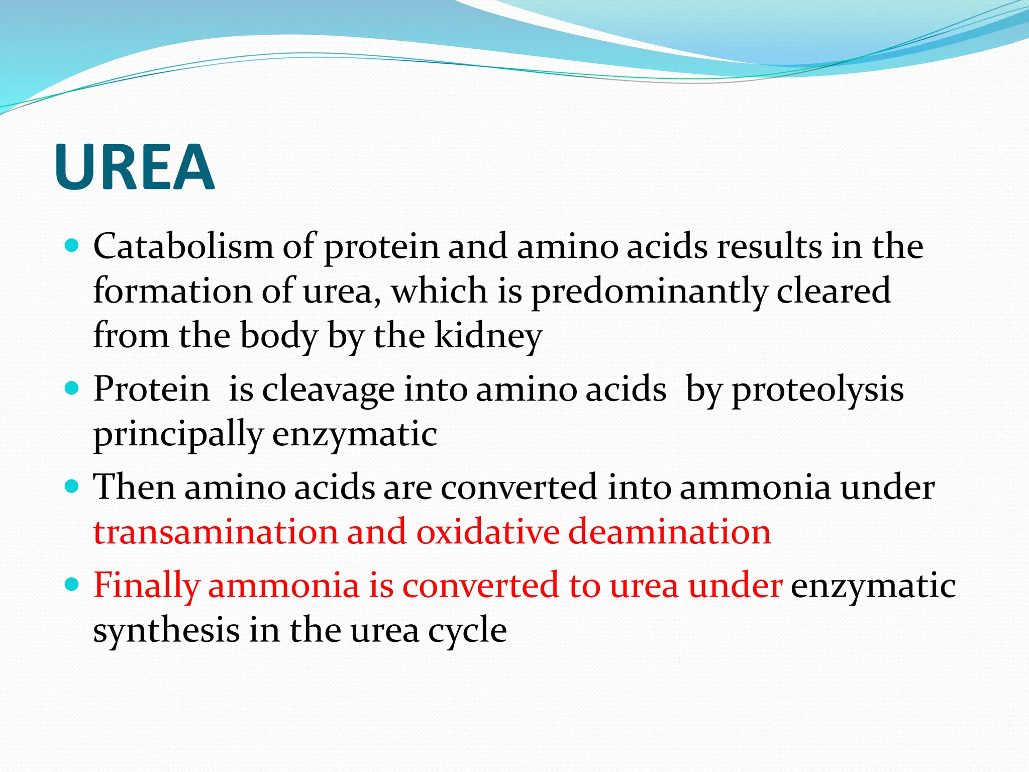 2. CREATININE UREA AND URIC ACID 2_2.pptx