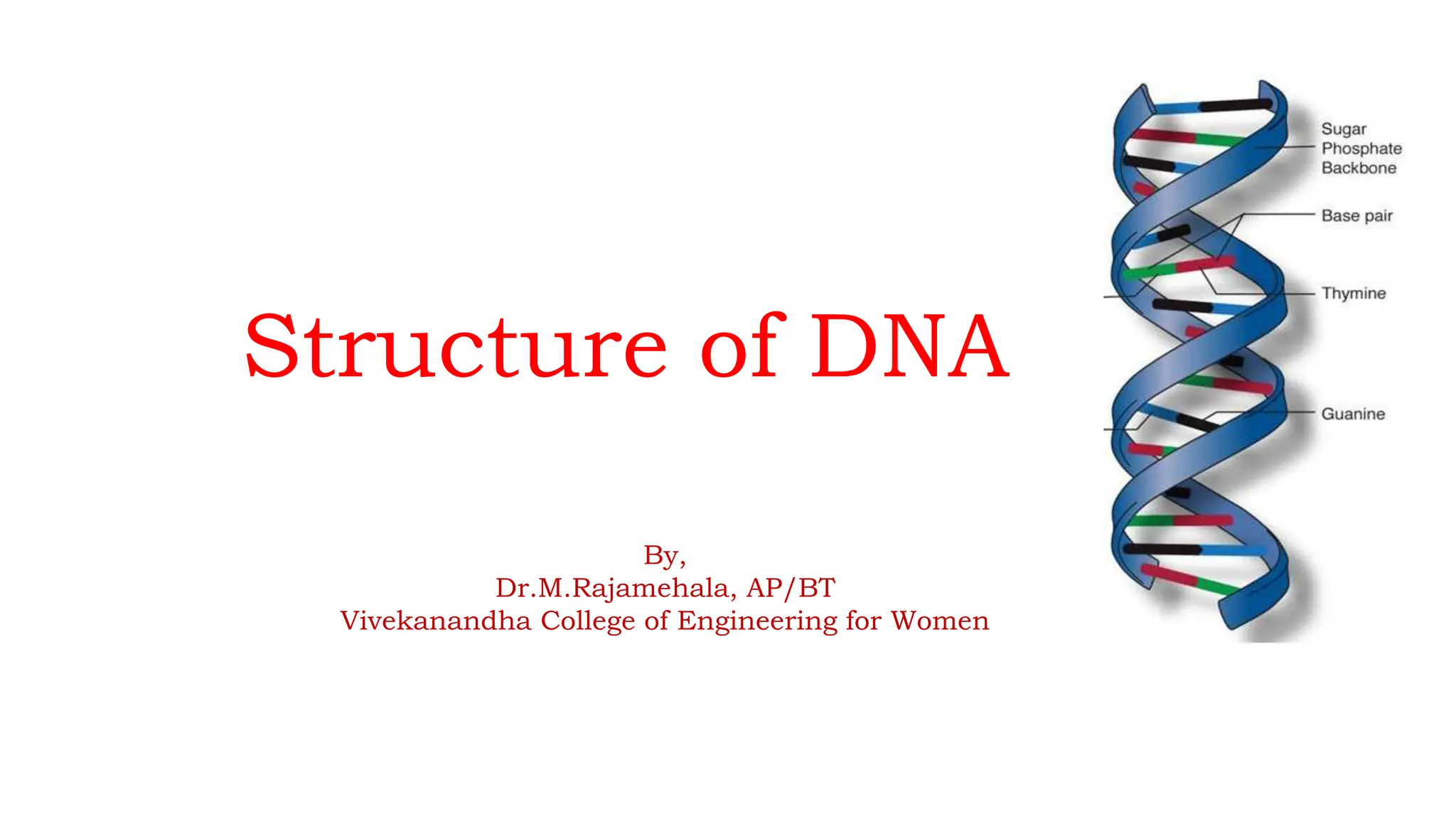 2. Structure of DNA, Watson & Crick Model.pptx