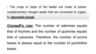 2. Structure of DNA, Watson & Crick Model.pptx