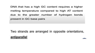 2. Structure of DNA, Watson & Crick Model.pptx