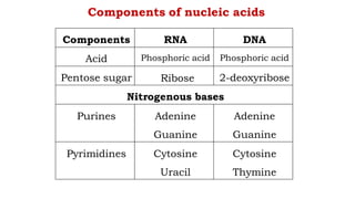 2. Structure of DNA, Watson & Crick Model.pptx