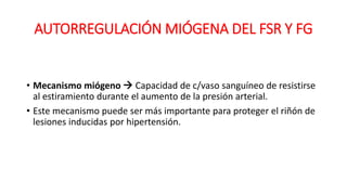 FILTRACION GLOMERULAR, FLUJO SANGUINEO RENAL Y SU CONTROL | PPTX