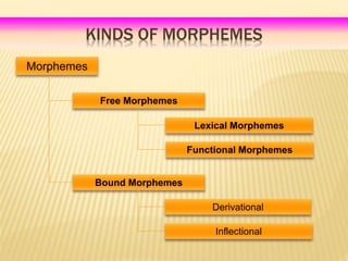 2. Morphology - Morphemfdsdfsfdses - Copy.pptx