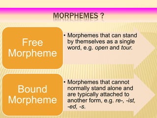 2. Morphology - Morphemfdsdfsfdses - Copy.pptx