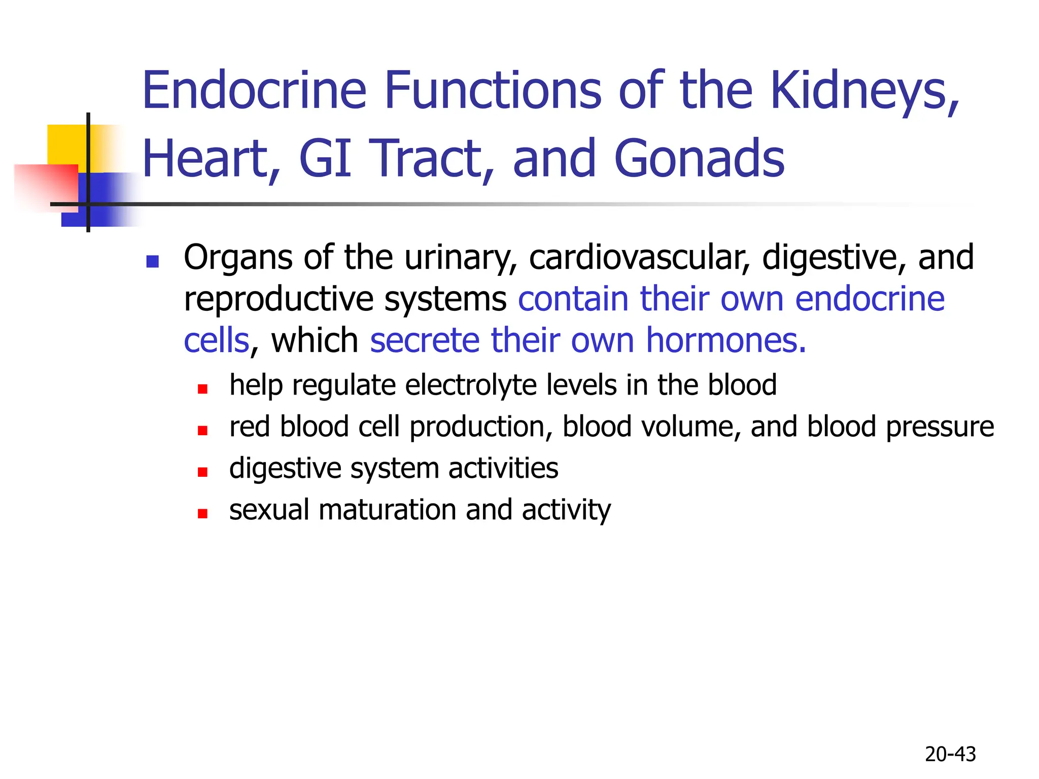 2.6 Endocrine System.ppt2.6 Endocrine System.ppt2.6 Endocrine System ...