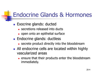 2.6 Endocrine System.ppt2.6 Endocrine System.ppt2.6 Endocrine System ...