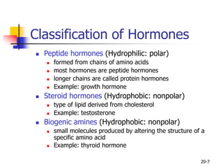 2.6 Endocrine System.ppt2.6 Endocrine System.ppt2.6 Endocrine System ...