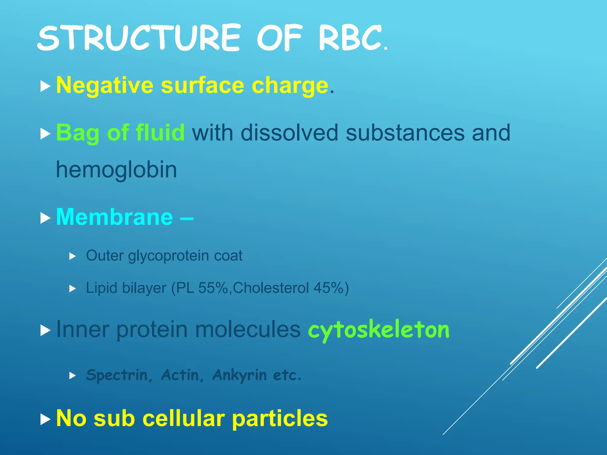 2. ERYTHROPOIESIS.ppt11111111111111111111 | PPT