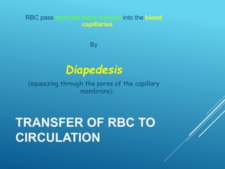2. ERYTHROPOIESIS.ppt11111111111111111111 | PPT