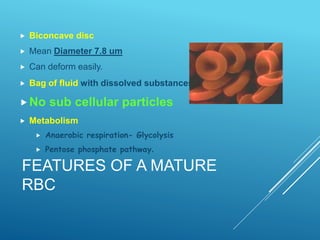 2. ERYTHROPOIESIS.ppt11111111111111111111 | PPT