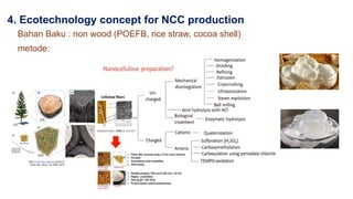 2. progress thesis ke 2_desi about NCC from cabbage | PPT