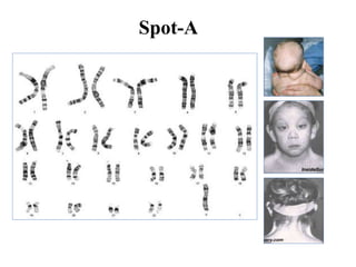 Genetics pRACTICAL Spotting Exam 2022.pptx