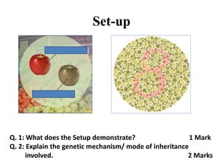 Genetics pRACTICAL Spotting Exam 2022.pptx