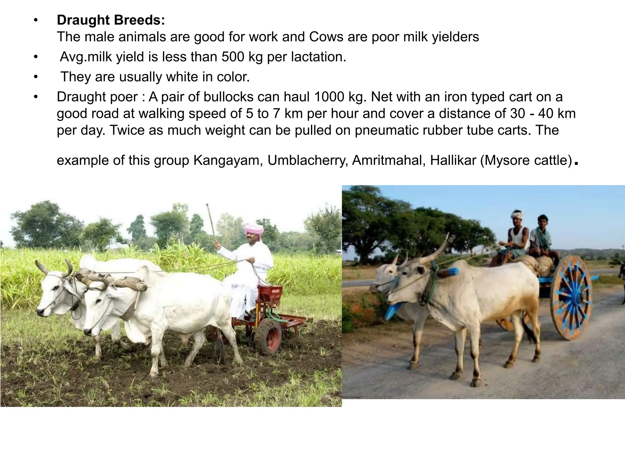 2.BREEDS OF LIVESTOCK BREEDS OF LIVESTOCK.ppt