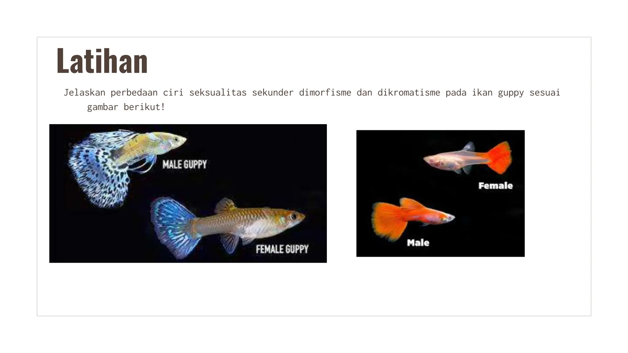2. Bioper Seksualitas ikan (wecompress.com).pptx