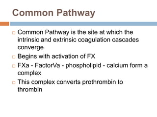 Coagulation, in diagnostic hematology PPTX | PPTX | Blood Disorders ...