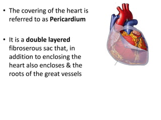 2cvs.The Heart and. Its Covering 2-1.pdf