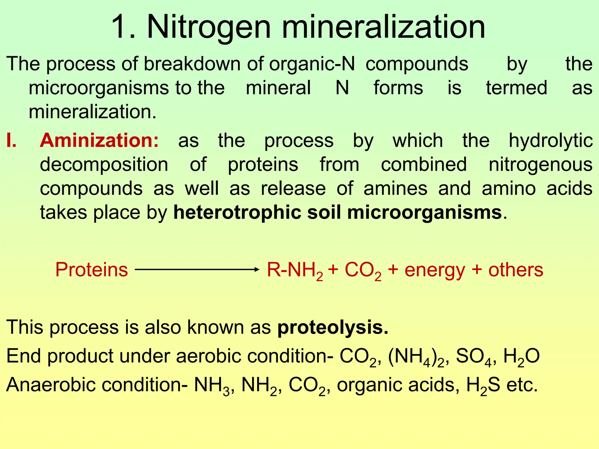 .Nitrogen Cycle.ppt how the nitrogen are fixed in soil | PPT