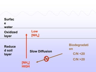 .Nitrogen Cycle.ppt how the nitrogen are fixed in soil | PPT | Free ...