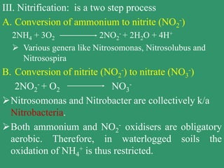 .Nitrogen Cycle.ppt how the nitrogen are fixed in soil | PPT