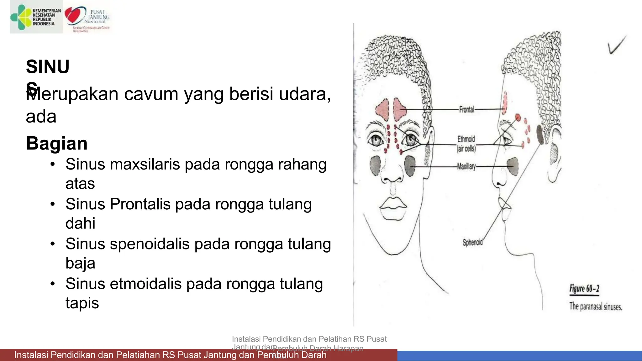 anatomi fisiologi sistem pernafasan manusia.pptx