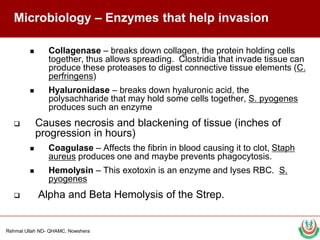 Basic Microbiological concepts in infection control.ppt
