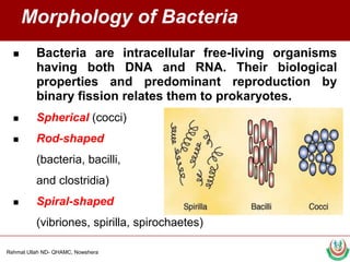 Basic Microbiological concepts in infection control.ppt