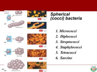 Basic Microbiological concepts in infection control.ppt