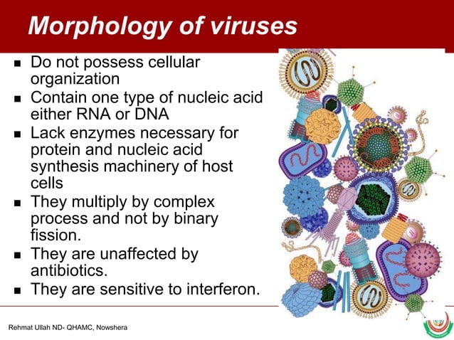 Basic Microbiological concepts in infection control.ppt
