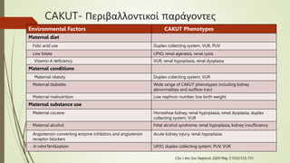 CAKUT ως αίτιο χρόνιας νεφρικής νόσου - Ζαμπέτογλου | PPTX