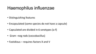 2. Hemophilus influenza - pathogenesis, diagnosis and treatment | PPTX
