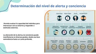 2.11 ESTADO DE COMA, inconsciencia .pdf