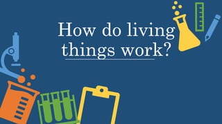 2. General Living thing.pptx. Structure of life. | PPT